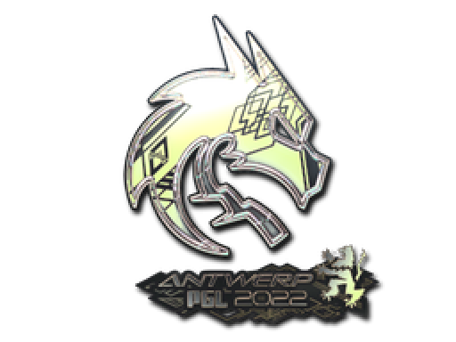 Sticker | Team Spirit | Antwerp 2022 () CS2 (CS:GO) | Price on Market CS:GO
