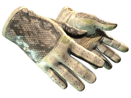 Gloves Skins CS2 (CSGO) — All Gloves CS2 and Prices | Market CSGO