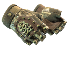 Gloves Skins CS2 (CSGO) — All Gloves CS2 and Prices | Market CSGO