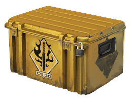 Buy CS2 Containers/Cases Cheap On Market CS:GO