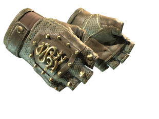 Gloves Skins CS2 (CSGO) — All Gloves CS2 and Prices | Market CSGO