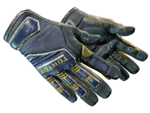 Gloves Skins CS2 (CSGO) — All Gloves CS2 and Prices | Market CSGO