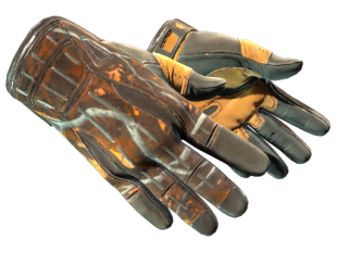 Gloves Skins CS2 (CSGO) — All Gloves CS2 and Prices | Market CSGO