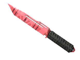 Paracord Knife CS2 (CSGO) – Buy Paracord Knife CSGO Skins and Prices ...