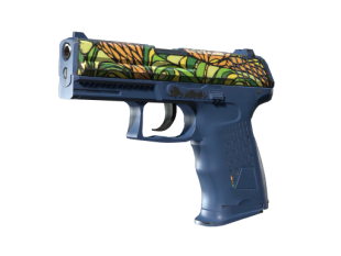 P2000 Skins CS2 (CSGO) – Buy All P2000 Skins | Market CSGO