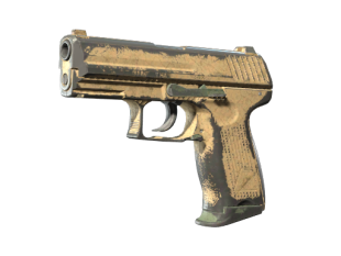 P2000 Skins CS2 (CSGO) – Buy All P2000 Skins | Market CSGO