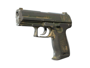 P2000 Skins CS2 (CSGO) – Buy All P2000 Skins | Market CSGO