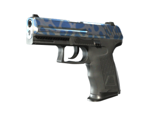 P2000 Skins CS2 (CSGO) – Buy All P2000 Skins | Market CSGO