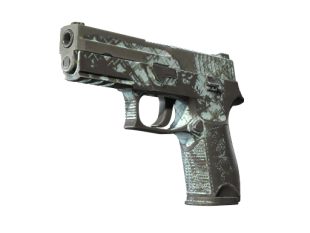 P250 Skins CS2 (CSGO) – Buy Best P250 Skins | Market CSGO