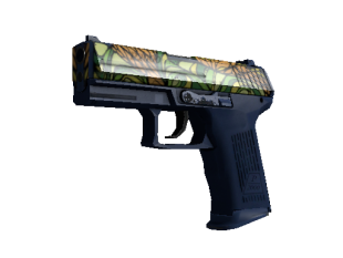 P2000 Skins CS2 (CSGO) – Buy All P2000 Skins | Market CSGO