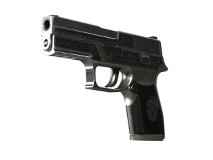 P250 Skins CS2 (CSGO) – Buy Best P250 Skins | Market CSGO