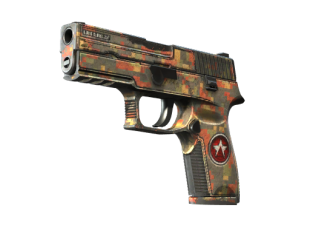 P250 Skins CS2 (CSGO) – Buy Best P250 Skins | Market CSGO