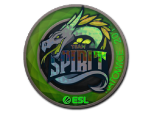 CS2 Stickers Buy — All CSGO Stickers and Prices | Market CSGO