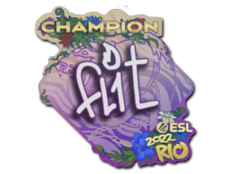 Sticker | FL1T | Rio 2022 () CS2 (CS:GO) | Price on Market CS:GO