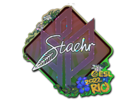Sticker | Staehr | Rio 2022 () CS2 (CS:GO) | Price on Market CS:GO