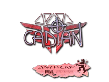 Sticker | cadiaN (Holo) | Antwerp 2022 CS:GO | Buy, Sell On Market CS:GO