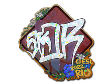 Sticker | sk0R | Rio 2022 () CS2 (CS:GO) | Price on Market CS:GO