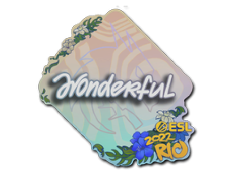 Sticker | w0nderful | Rio 2022 CS:GO | Buy, Sell On Market CS:GO