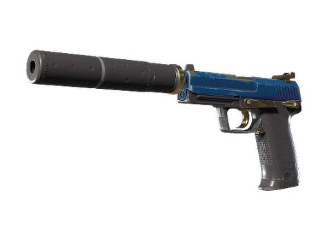 USP-S | Royal Guard (Well-Worn) CS2 (CS:GO) | Price on Market CS:GO
