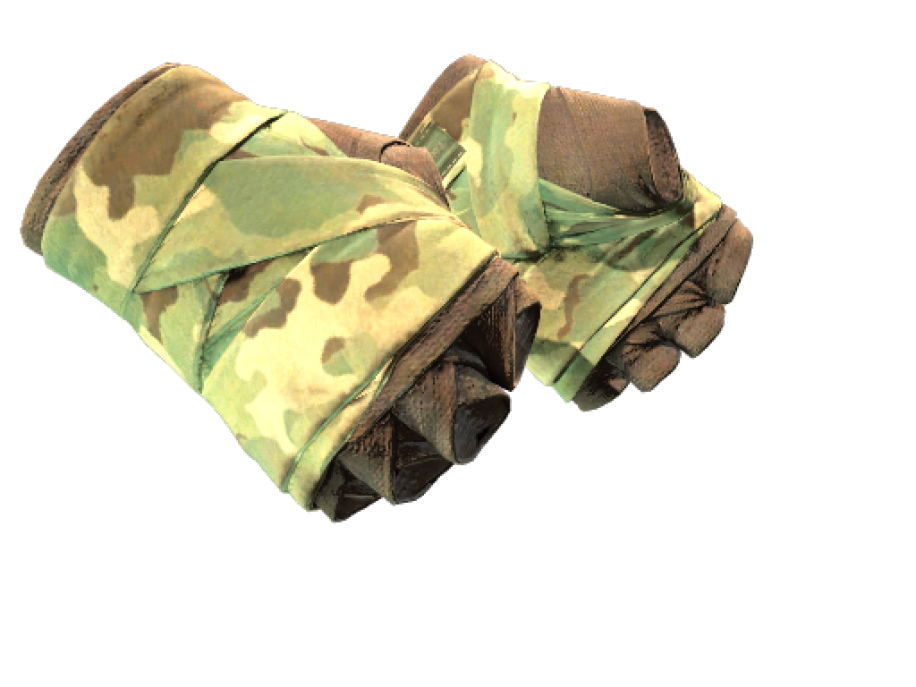 Hand Wraps | Arboreal (Well-Worn) CS2 (CS:GO) | Price on Market CS:GO