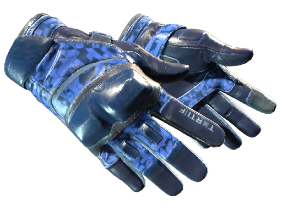 Moto Gloves | Polygon (Field-Tested) CS2 (CS:GO) | Price on Market CS:GO