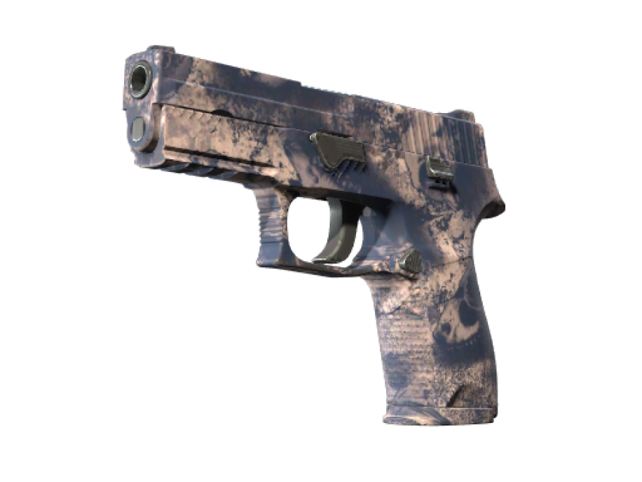 P250 | Drought CS:GO | Buy, Sell On Market CS:GO