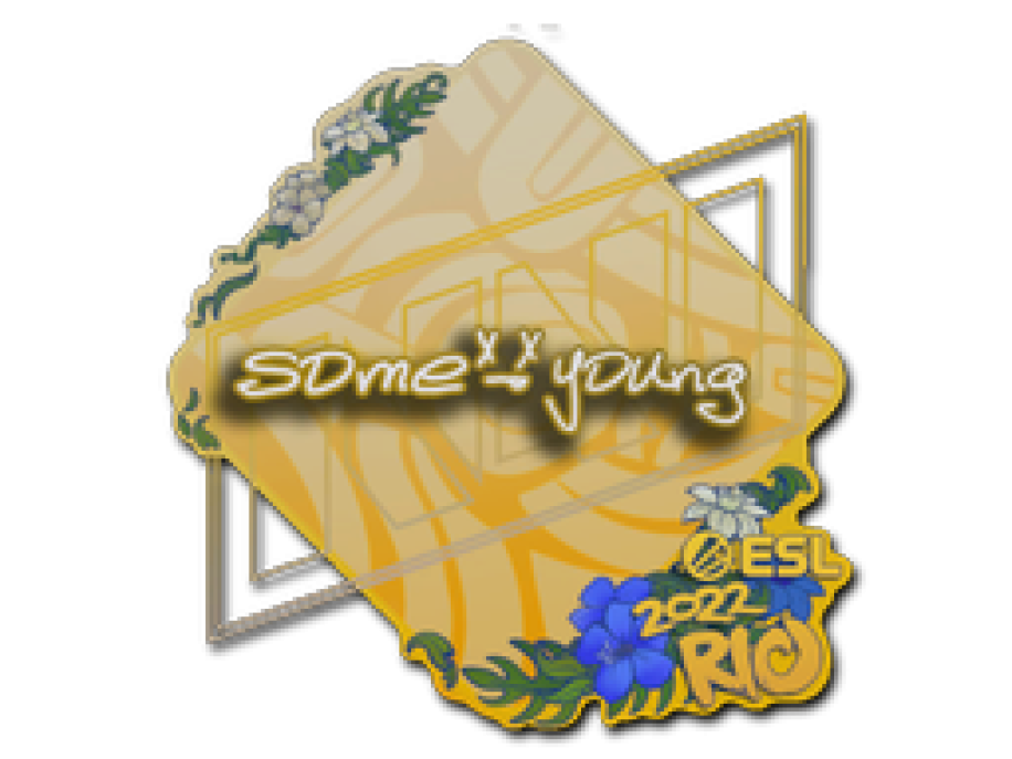 Sticker | sdy | Rio 2022 CS:GO | Buy, Sell On Market CS:GO